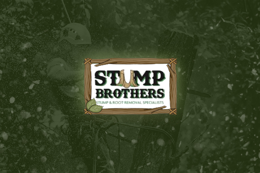 Tree Service Lake Orion, MI | 24-Hour Emergency Stump And Root Removal